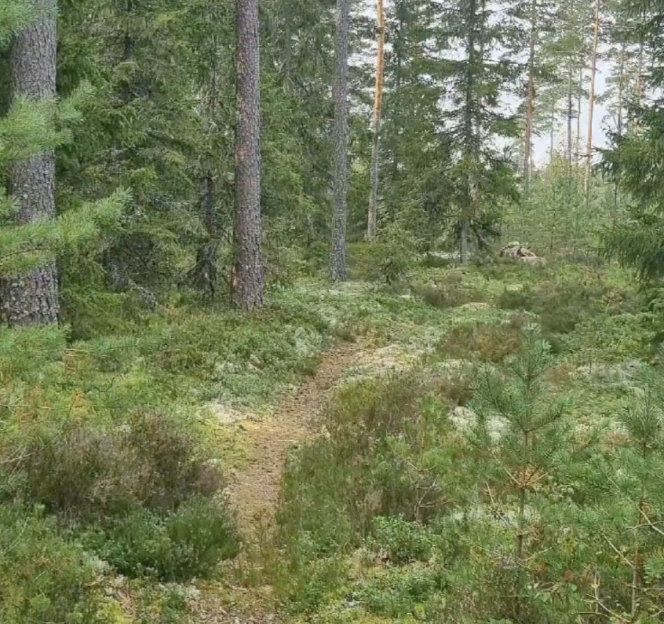 Alla vägar bär till Stockholm – utom E4an… – Happy Camper Sweden